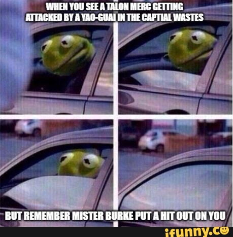 Talon memes. Best Collection of funny Talon pictures on iFunny