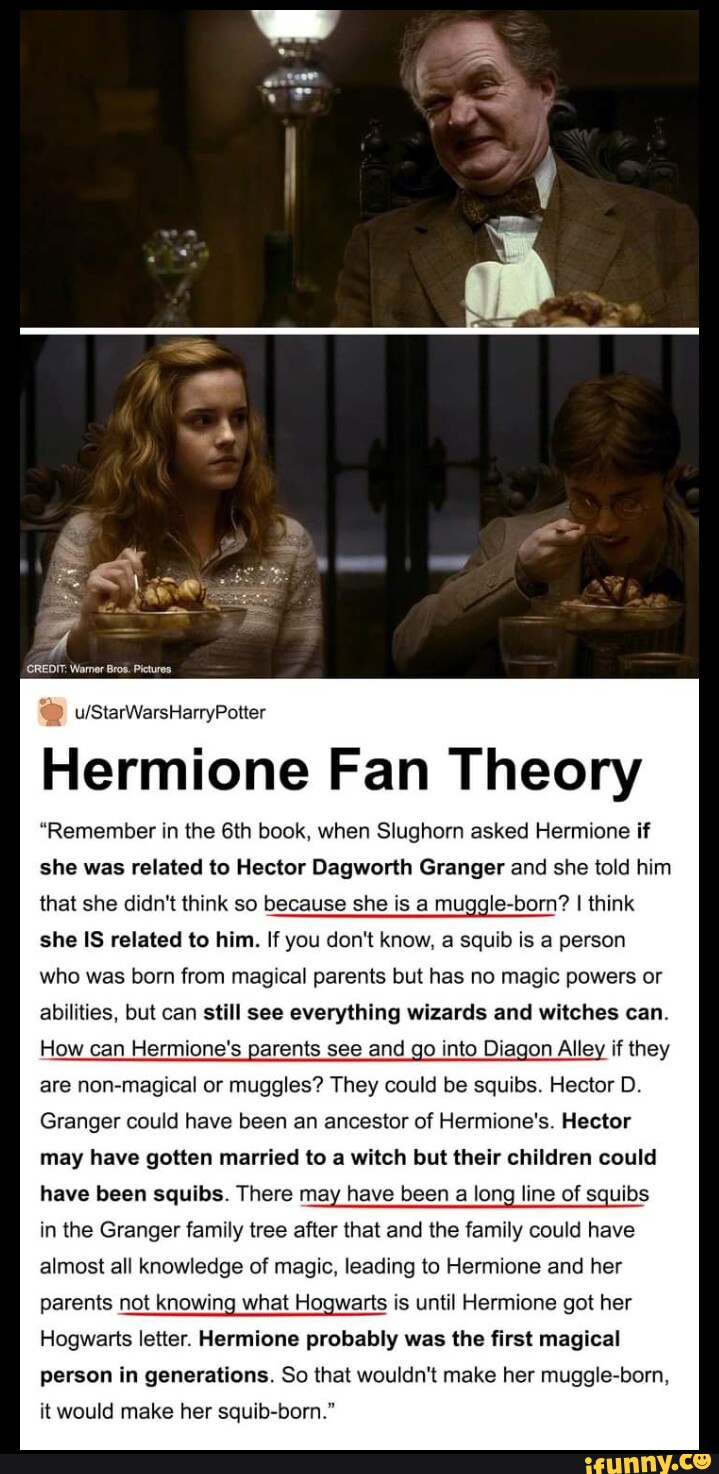 CREDIT: Bros. Pictures Hermione Fan Theory "Remember in the book, when ...