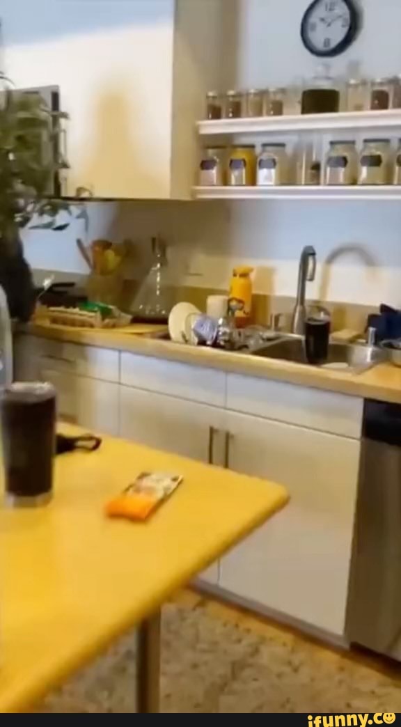 Chase takes his sous chef duties seriously (TikTok: lambrrt1) - iFunny