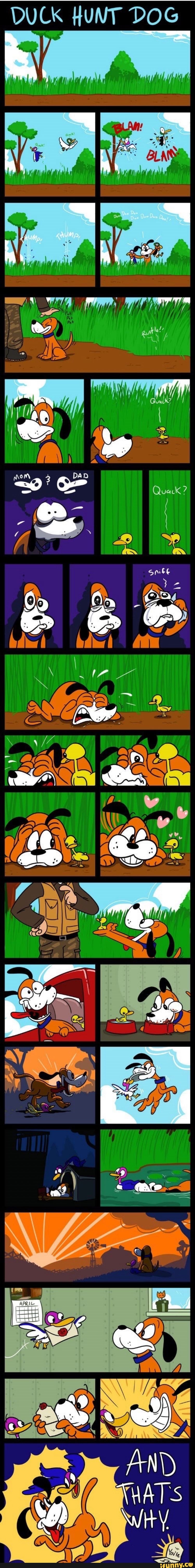 Duckhuntdog memes. Best Collection of funny Duckhuntdog pictures on iFunny