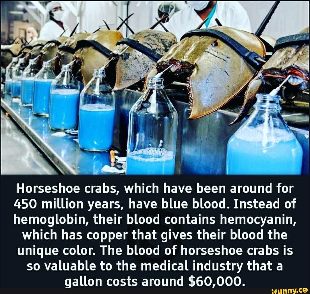 Hemoglobin memes. Best Collection of funny Hemoglobin pictures on iFunny