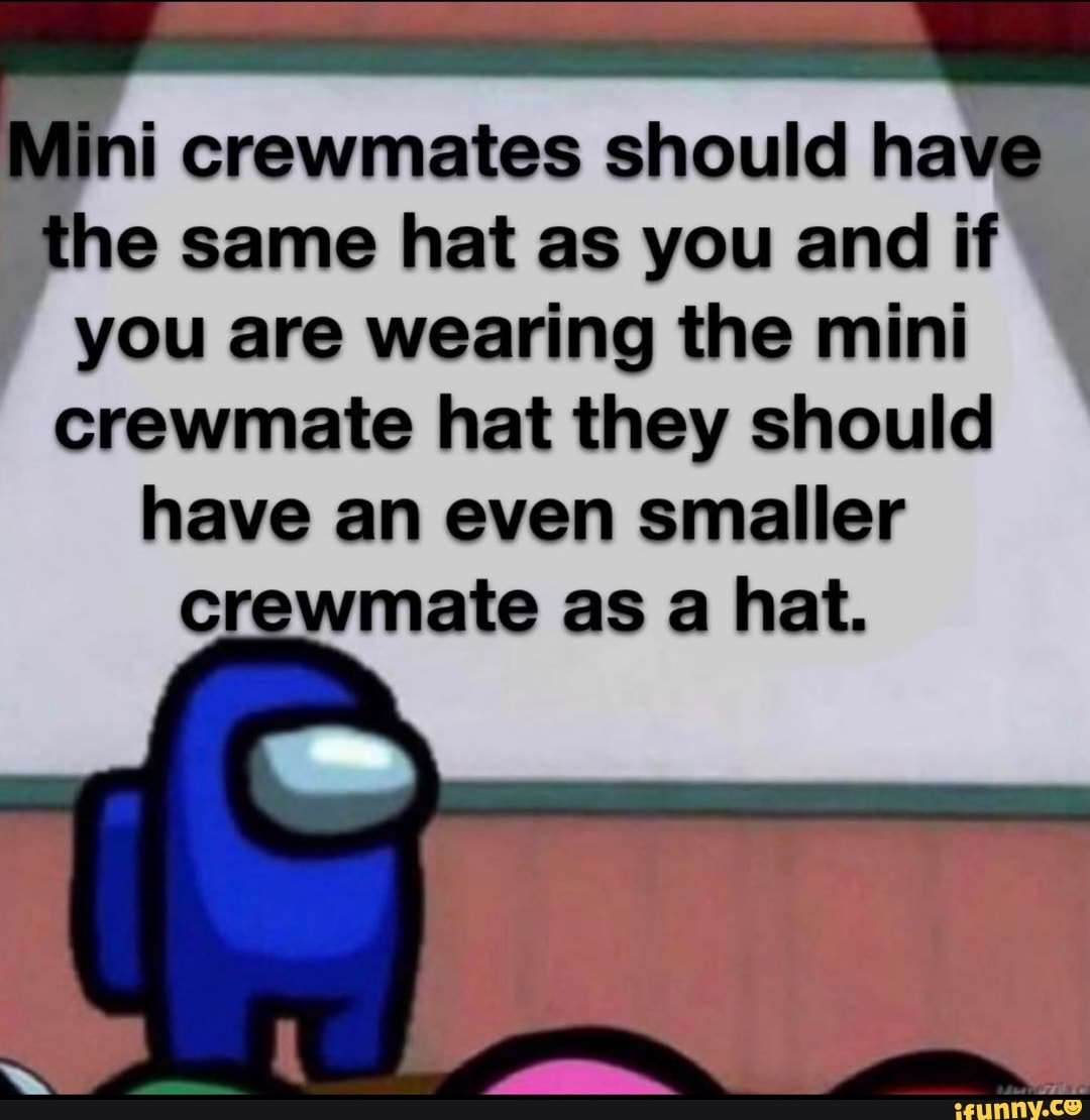 Mini crewmates should have the same hat as you and if you are wearing ...