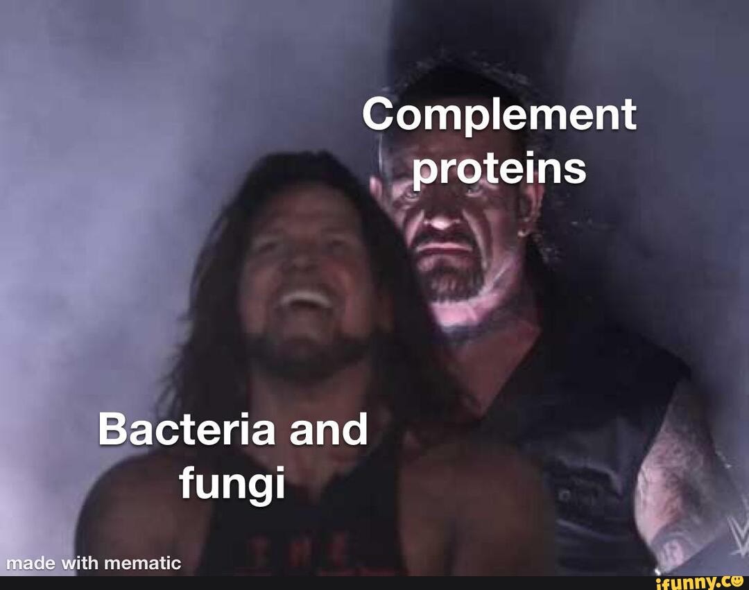 Fungo memes. Best Collection of funny Fungo pictures on iFunny