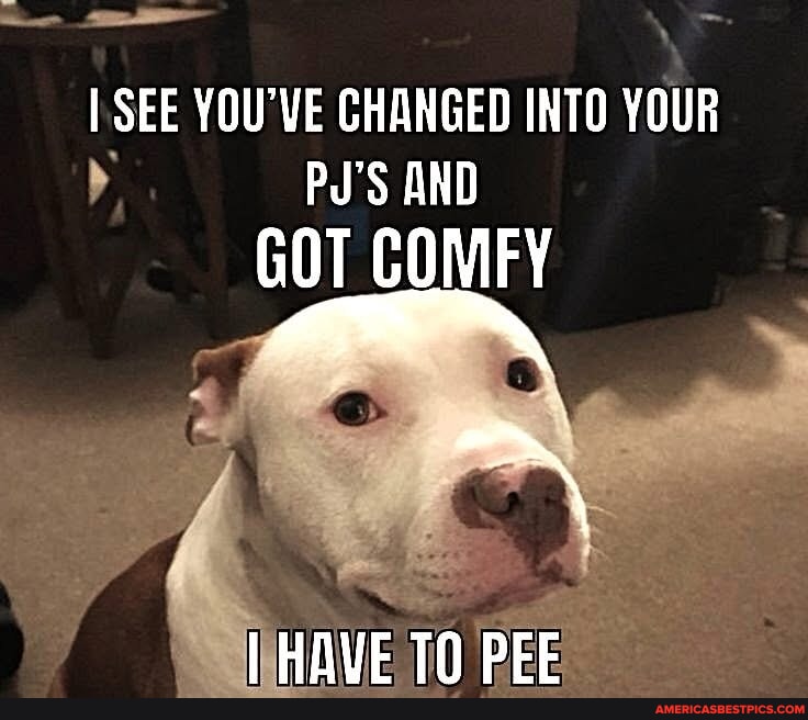 I SEE YOU'VE CHANGED INTO YOUR Pu'S AND GOT COMFY I HAVE TO PEE ...