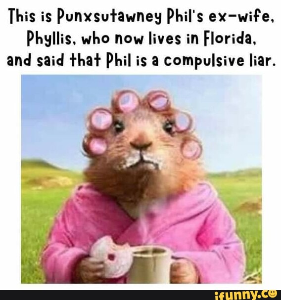 This is Punxsutawney Phil's ex-wife, Phyllis, who now lives in Florida ...
