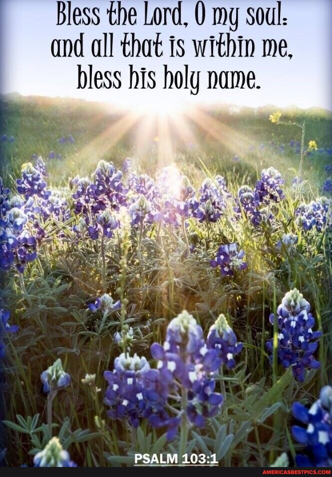 Bless the Lord, 0 my soul: and all that is within me, bless his holy ...