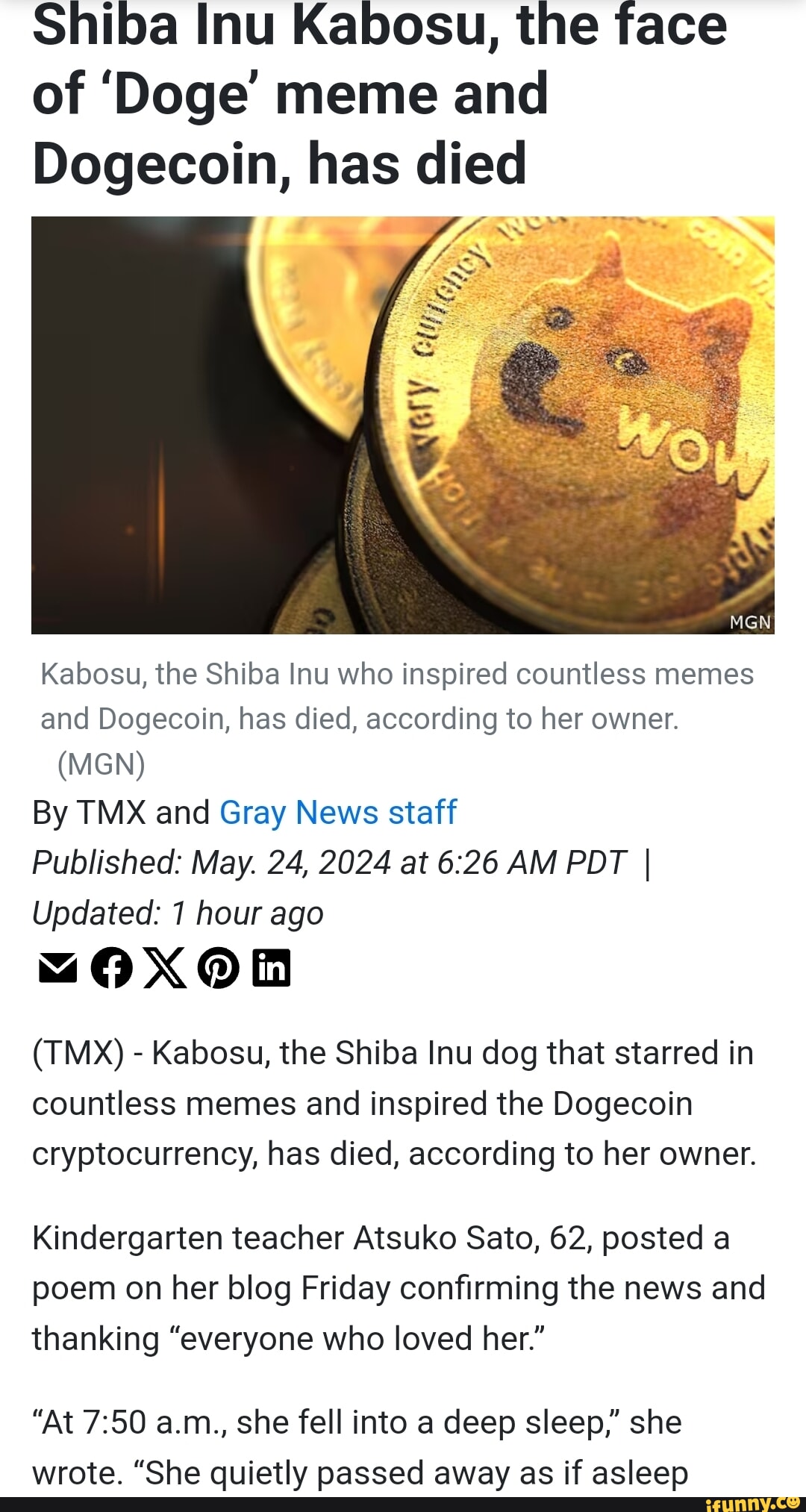 Shiba Inu Kabosu, the face of 'Doge' meme and Dogecoin, has died Kabosu, the Shiba Inu who ...