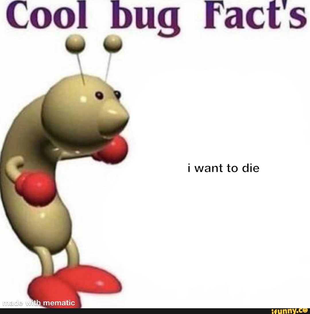 Cool bug Facts Y - iFunny