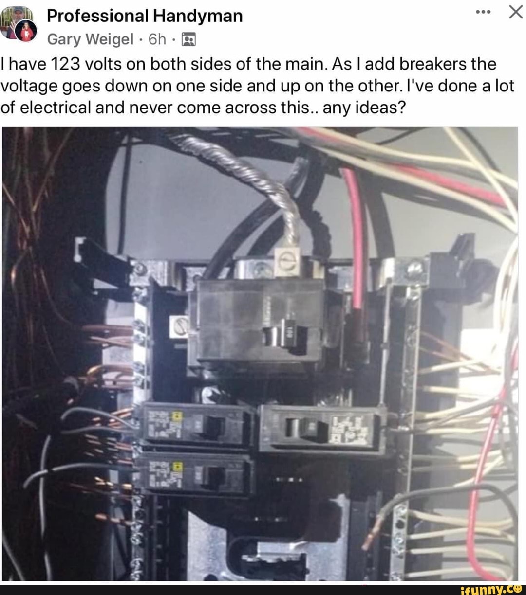 Weigel memes. Best Collection of funny Weigel pictures on iFunny