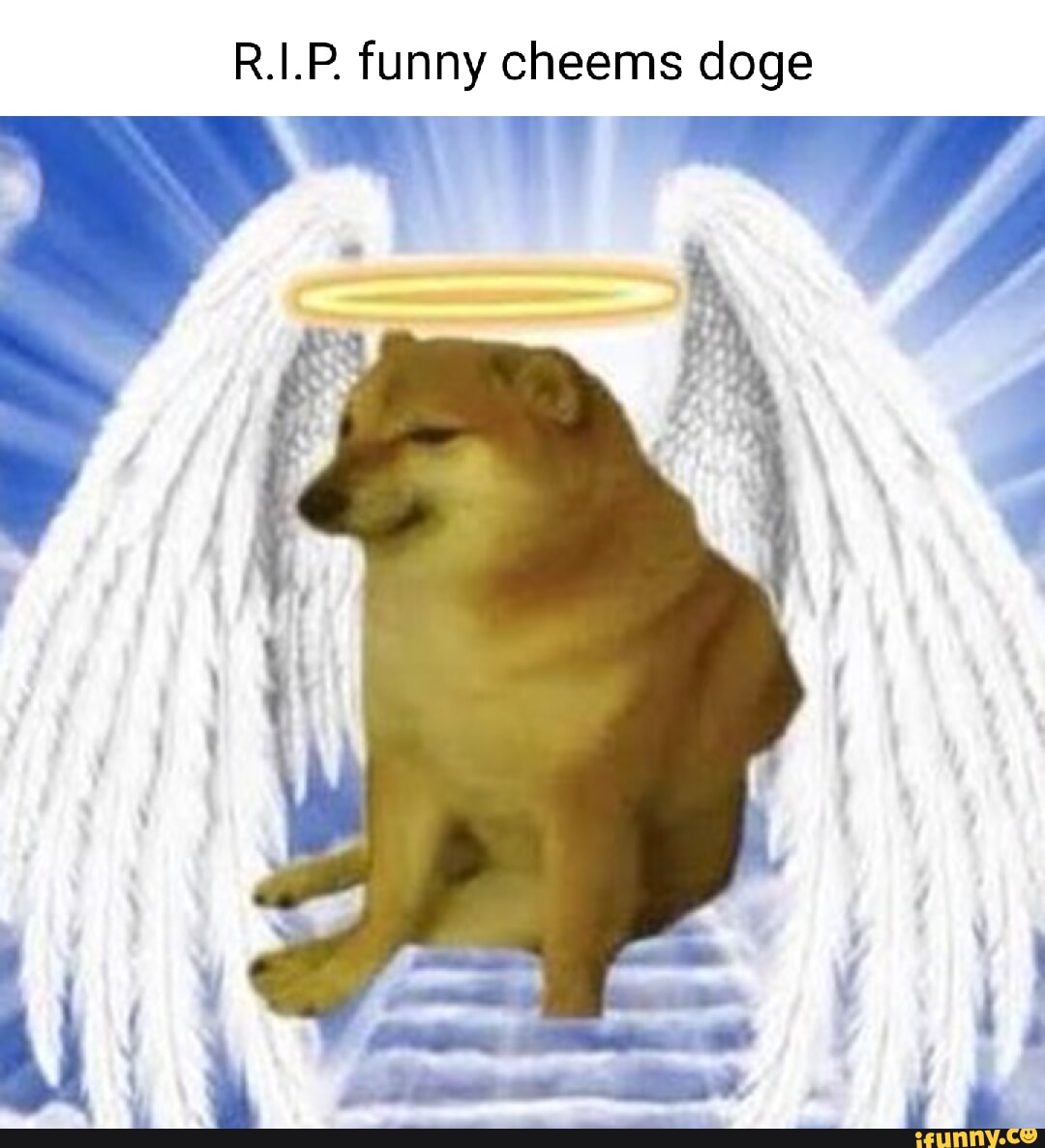 R.I.P. funny cheems doge - iFunny