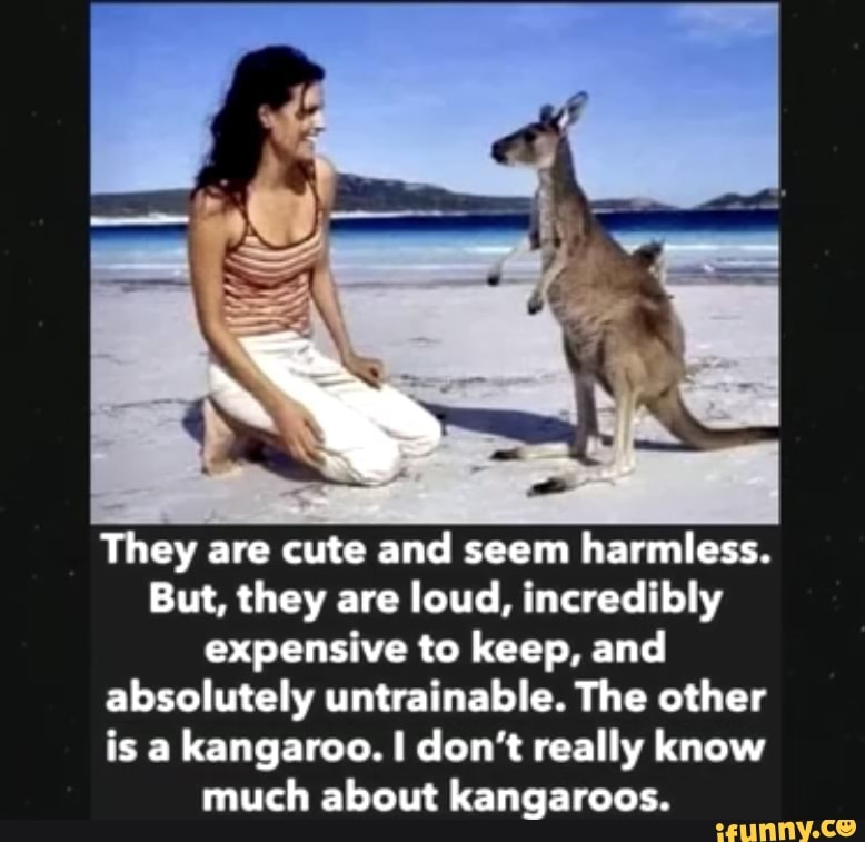 They are cute and seem harmless. But, they are loud, incredibly ...