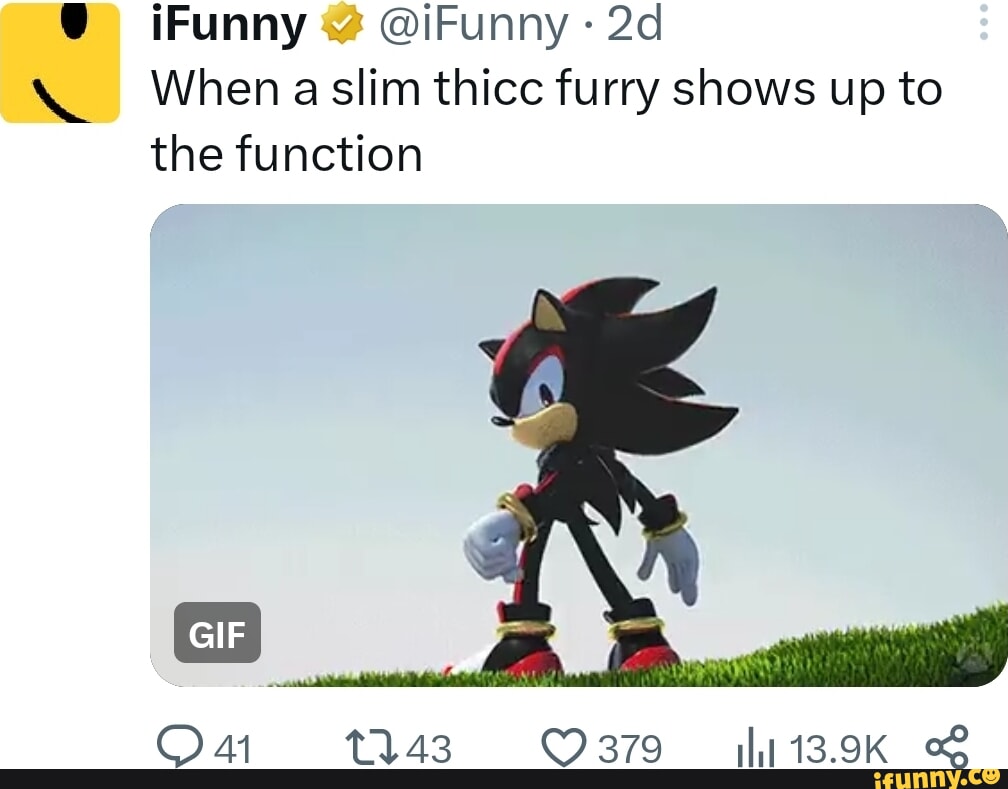 IFunny @iFunny When a slim thicc furry shows up to the function GIF 13 ...