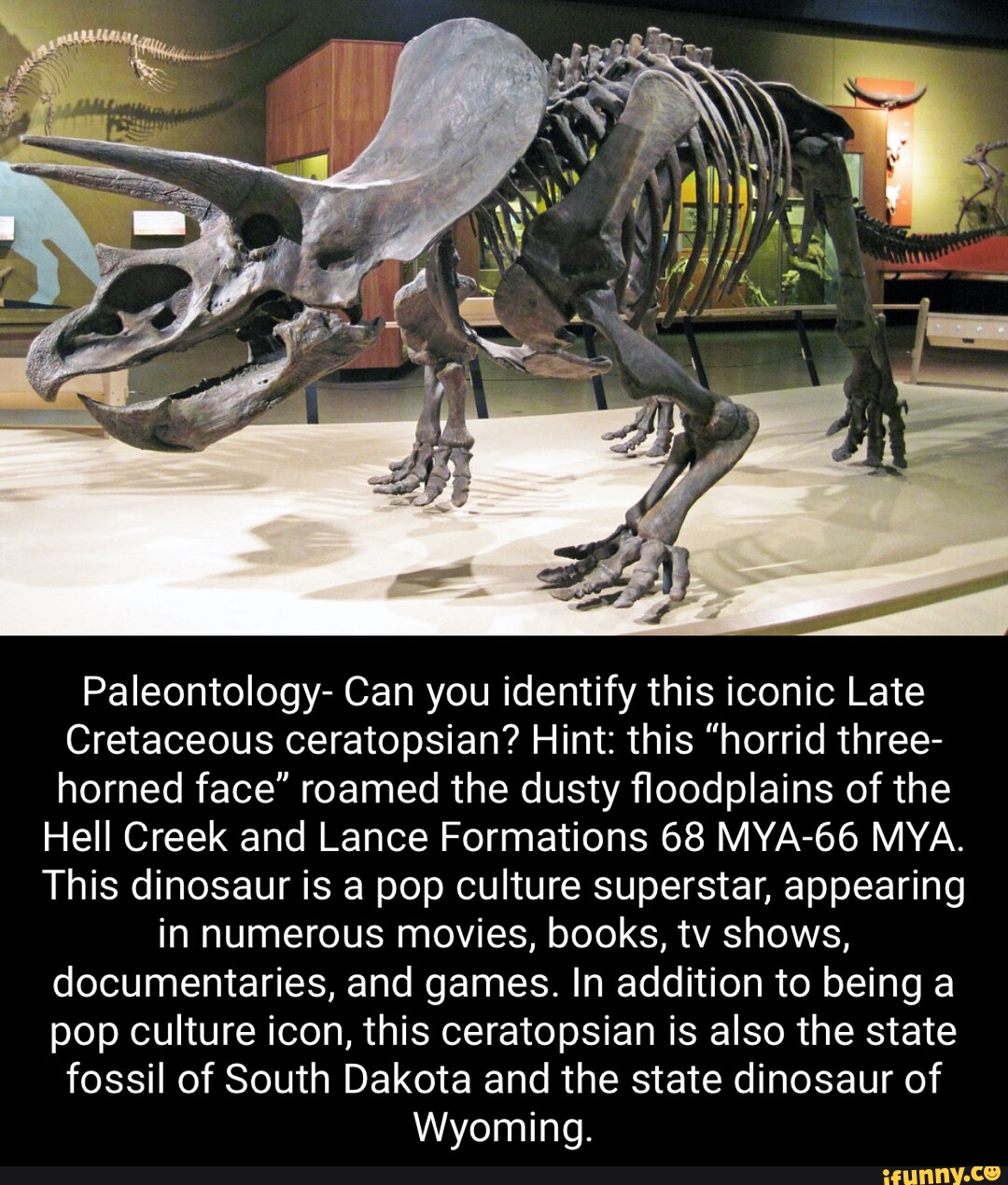 Xenoceratops New Type Of Horned Dinosaur Is Identified