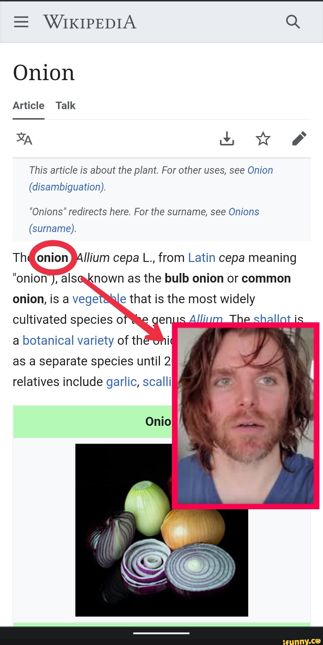 Onision memes. Best Collection of funny Onision pictures on iFunny