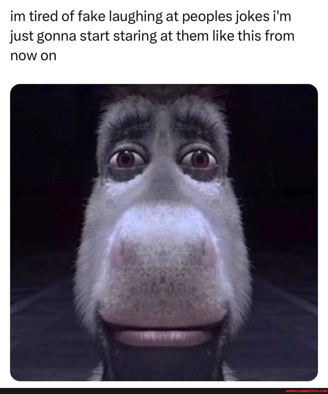 😂😐 #funny #explore #memes #viral - im tired of fake laughing at peoples ...