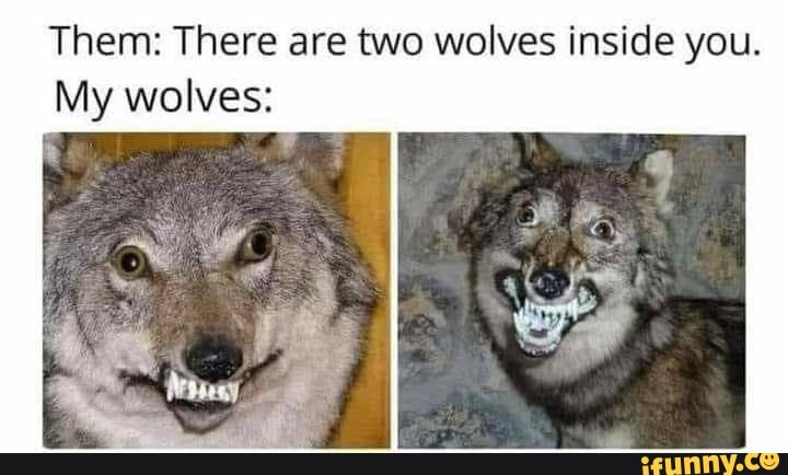 Inside you there are 2 wolves > General Discussion > AR15.COM
