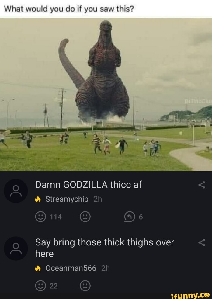 What would you do if you saw this? Damn GODZILLA thicc af Say bring ...