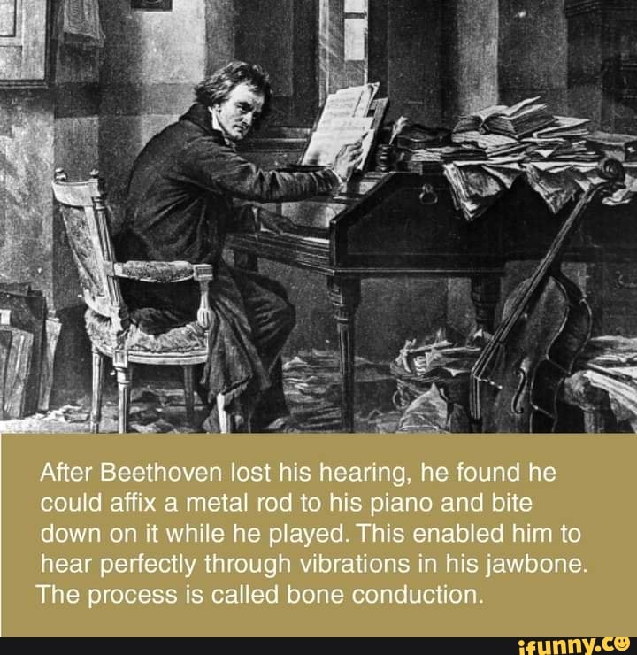 Conduction memes. Best Collection of funny Conduction pictures on iFunny