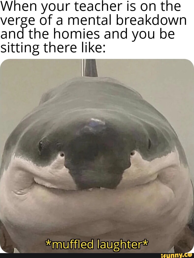 When your teacher is on the verge of a mental breakdown and the homies ...