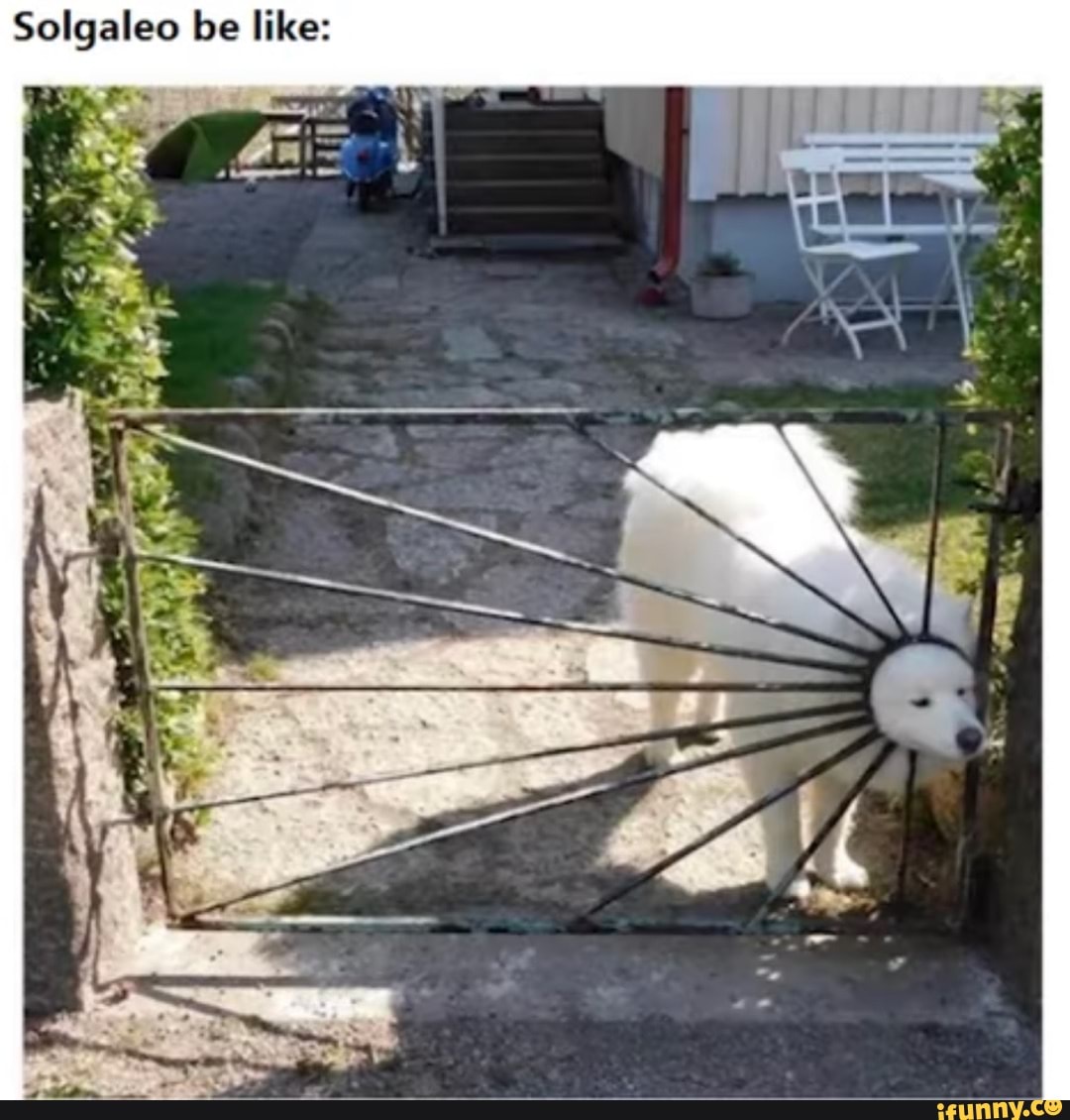 Solgaleo memes. Best Collection of funny Solgaleo pictures on iFunny