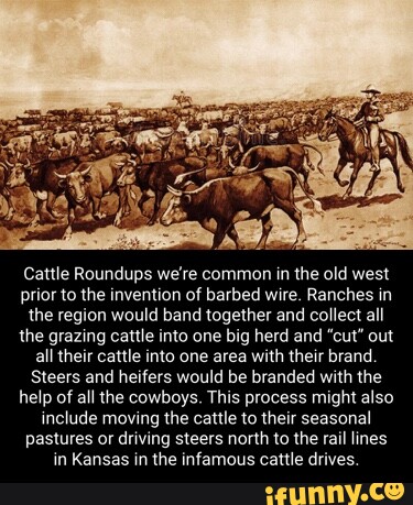 Cattle Roundups we're common in the old west prior to the invention of ...
