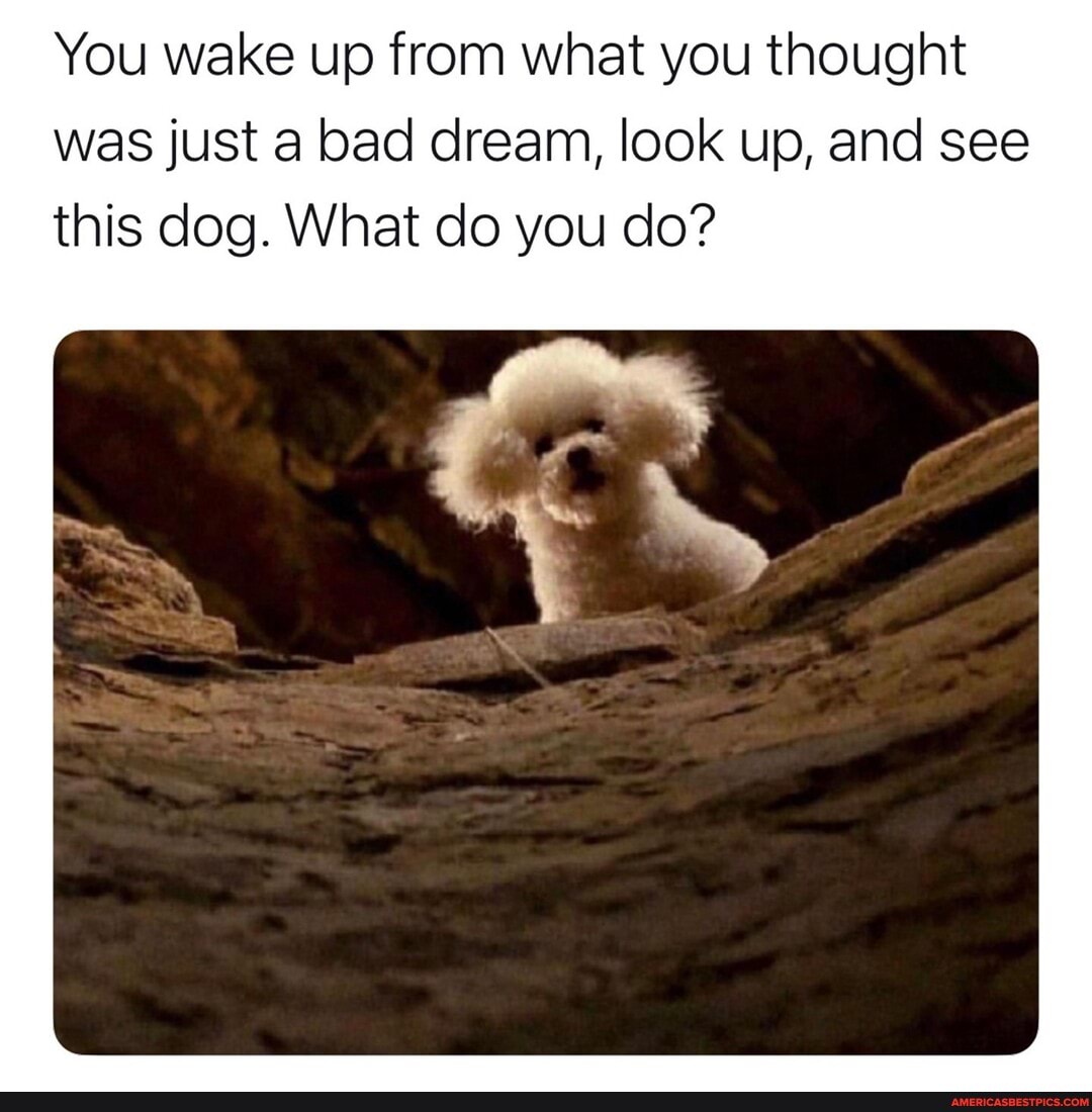 You wake up from what you thought was just a bad dream, look up, and ...