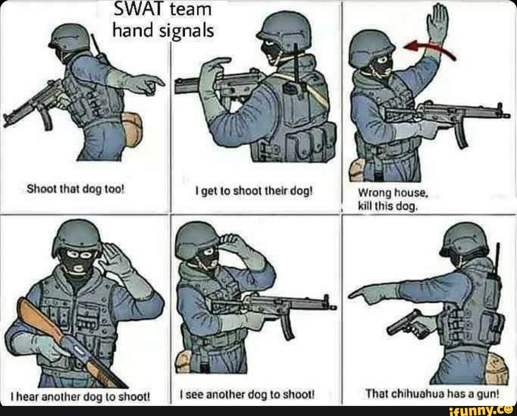 SWAT team hand signals I gal lo shoal melt dog! Wrong house. , kill Ith ...