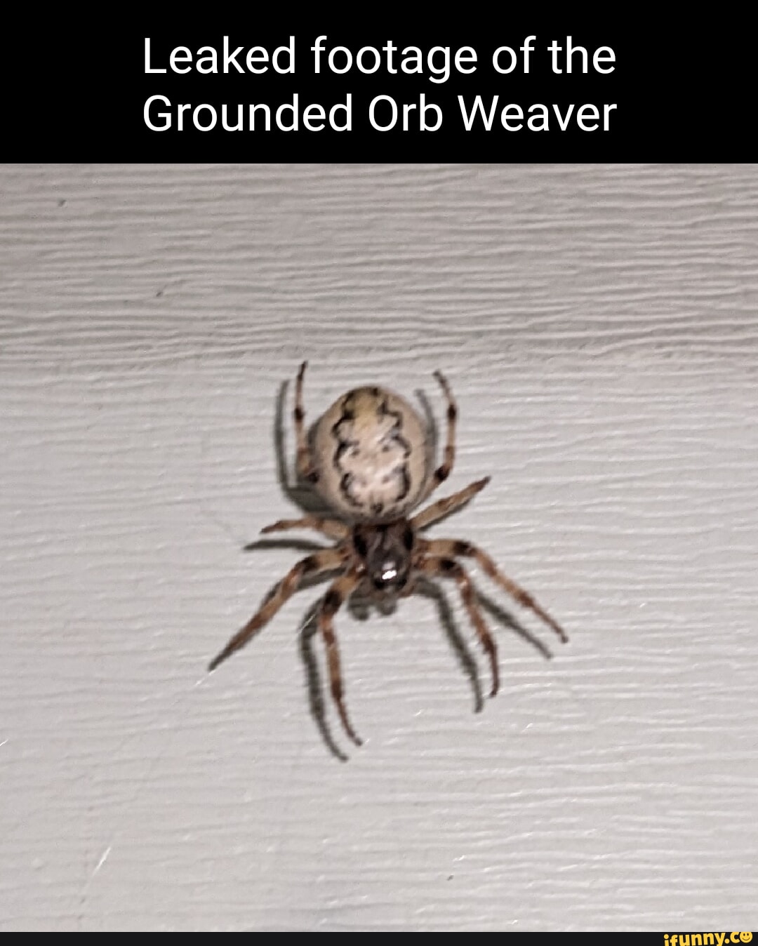 Grounded memes. Best Collection of funny Grounded pictures on iFunny