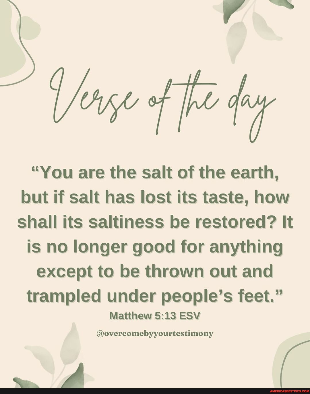 🧂Stay salty! Don’t lose your flavor! - of chy "You are the salt of the ...