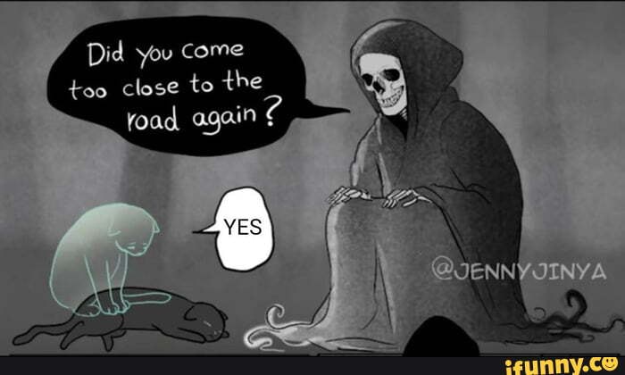 The_loving_reaper memes. Best Collection of funny The_loving_reaper ...