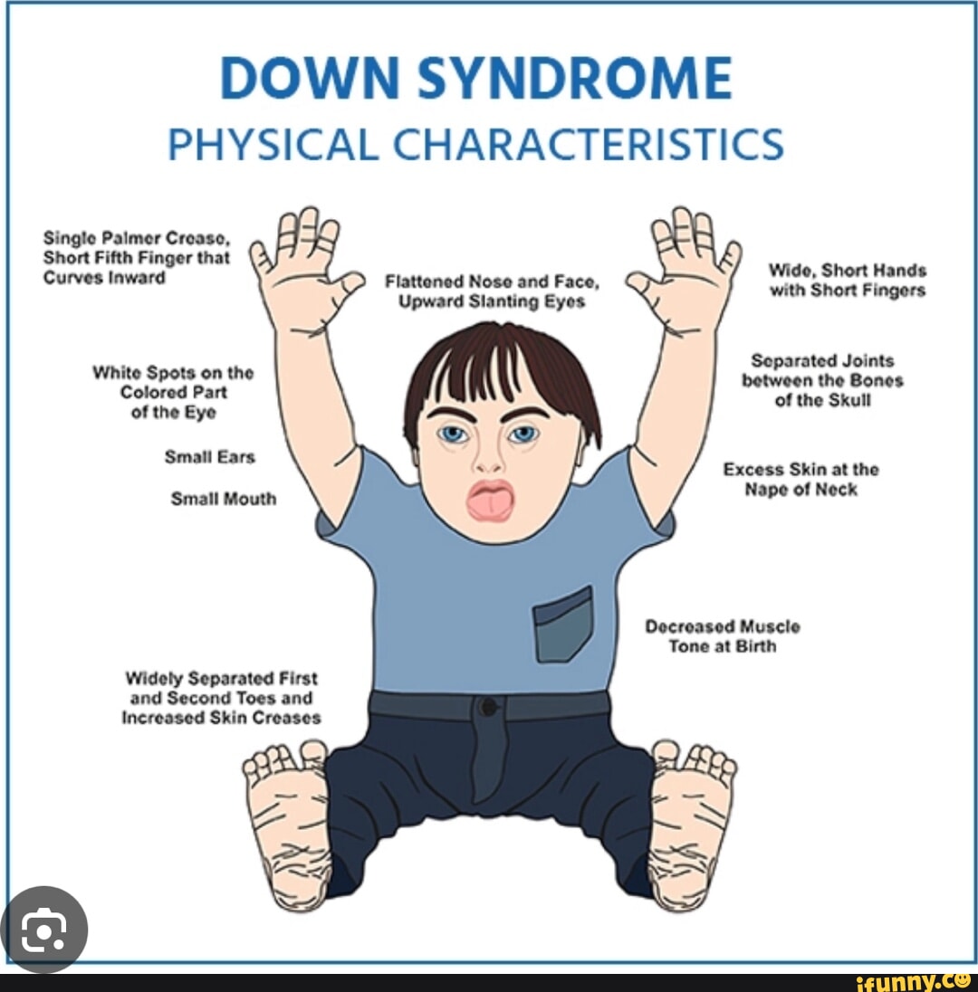Flattened memes. Best Collection of funny Flattened pictures on iFunny