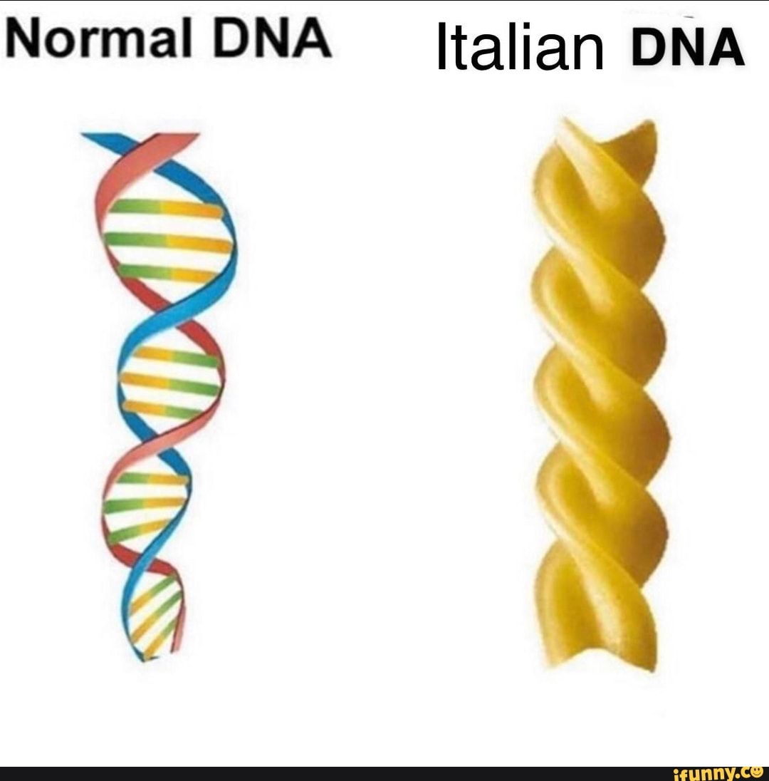 Normal DNA Italian DNA - )