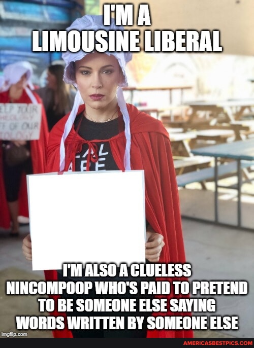 'MA LIMOUSINE LIBERAL I'M ALSO A GLUELESS NINCOMPOOP WHO'S PAID TO ...