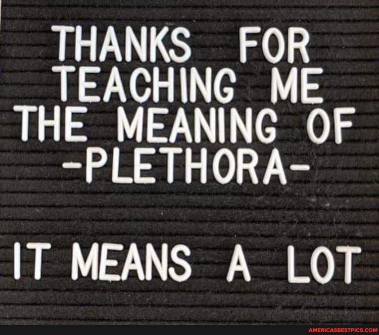 For more Punny memes, follow Too Punny - THANKS FOR TEACHING ME THE ...