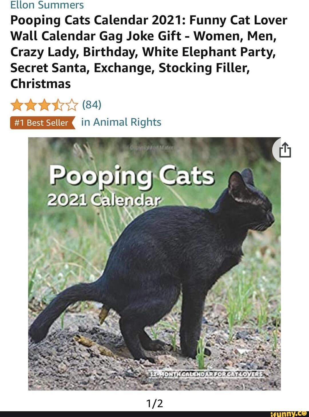 Ellon Summers Pooping Cats Calendar 2021: Funny Cat Lover Wall Calendar ...
