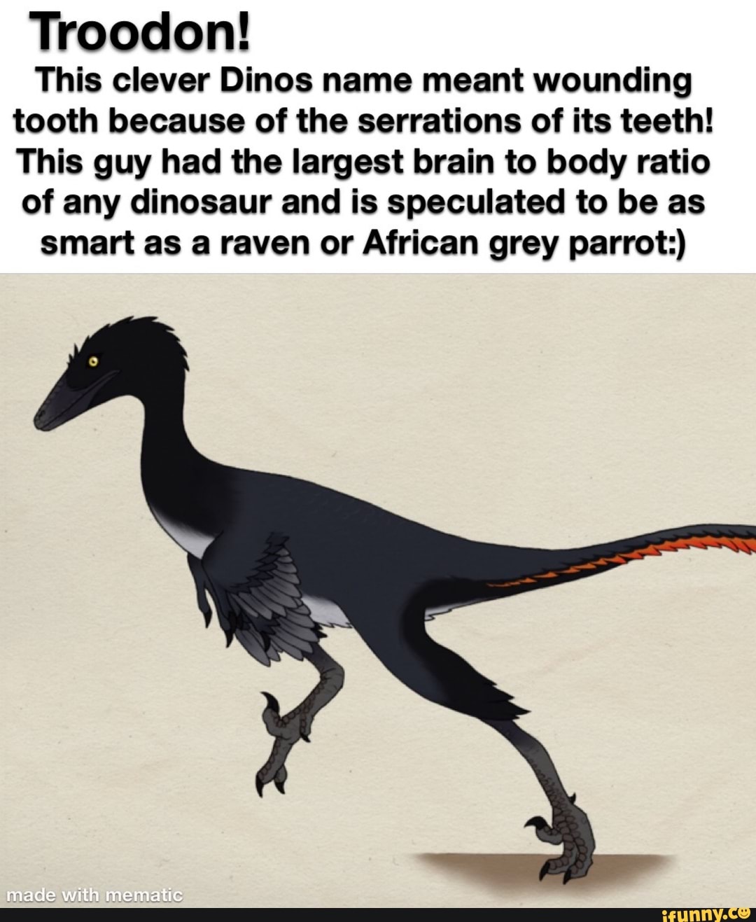Troodon! This clever Dinos name meant wounding tooth because of the ...