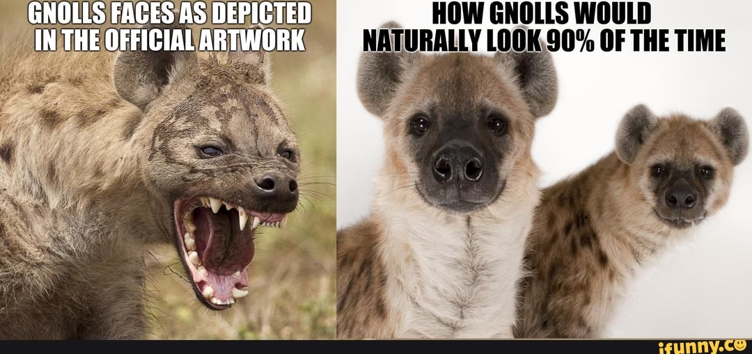 GNOLLS FACES AS DEPICTED IN THE OFFICIAL ARTWORK HOW GNOLLS WOULD ...