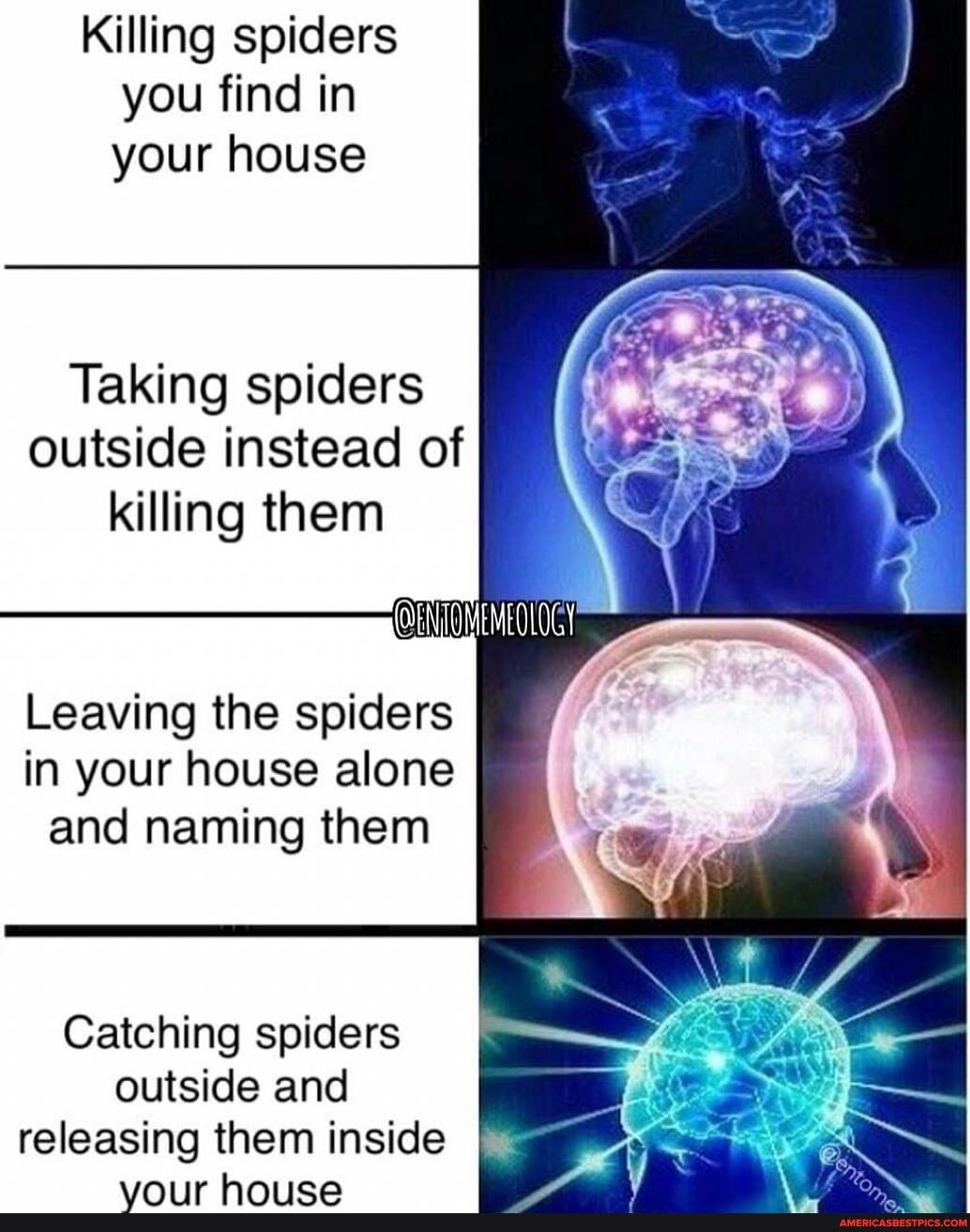 Killing spiders you find in your house Taking spiders outside instead of killing them Leaving ...