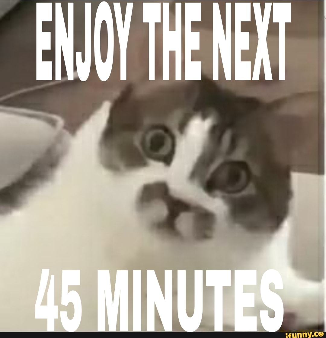 Enjoythenext45minutes memes. Best Collection of funny ...