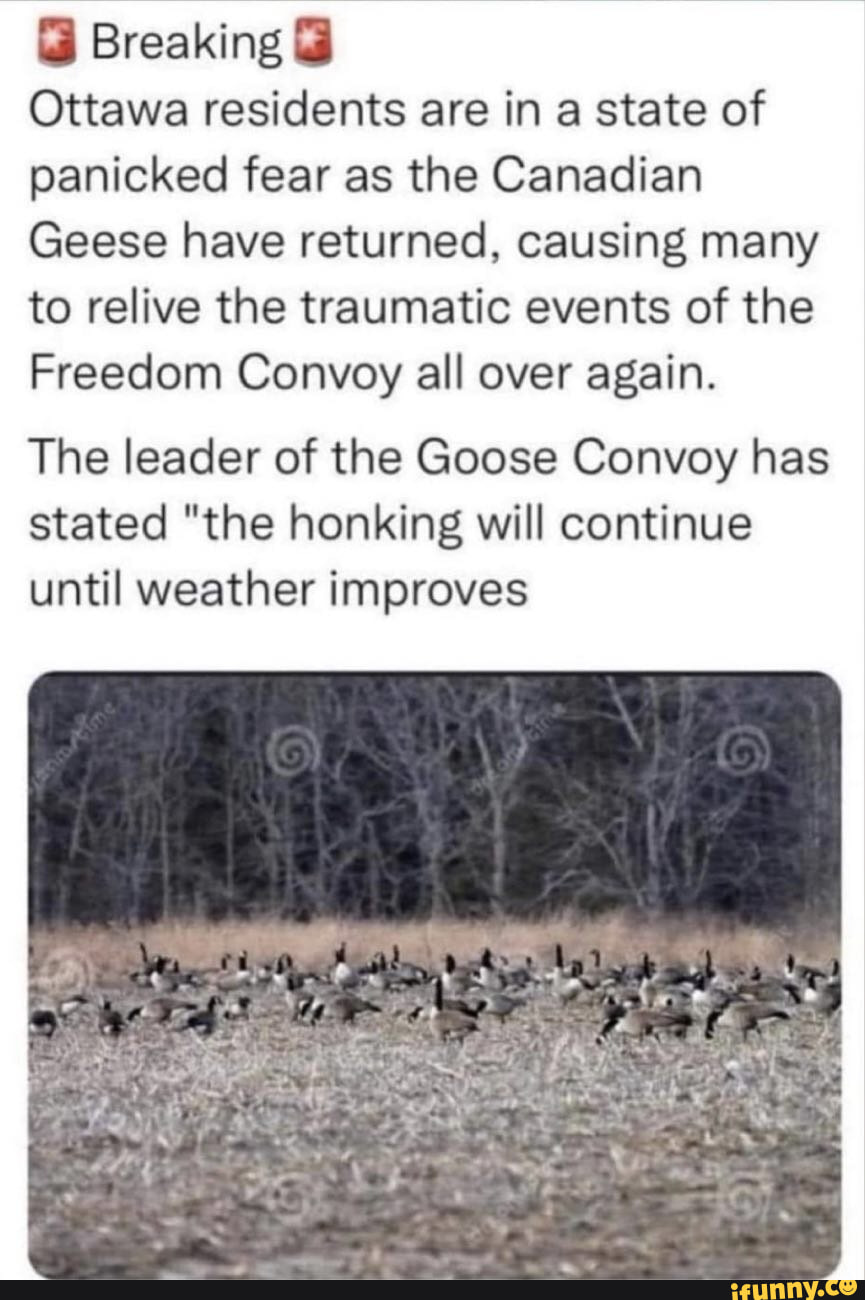 Relive memes. Best Collection of funny Relive pictures on iFunny