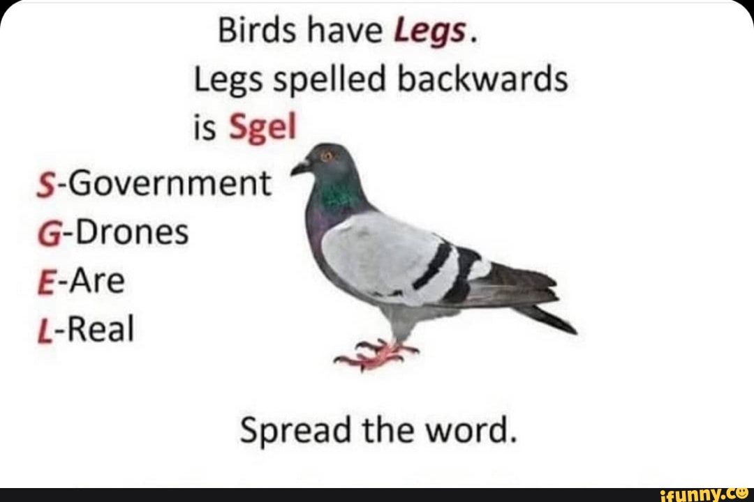 Birds have Legs. Legs spelled backwards is Sgel $-Government @-Drones E ...