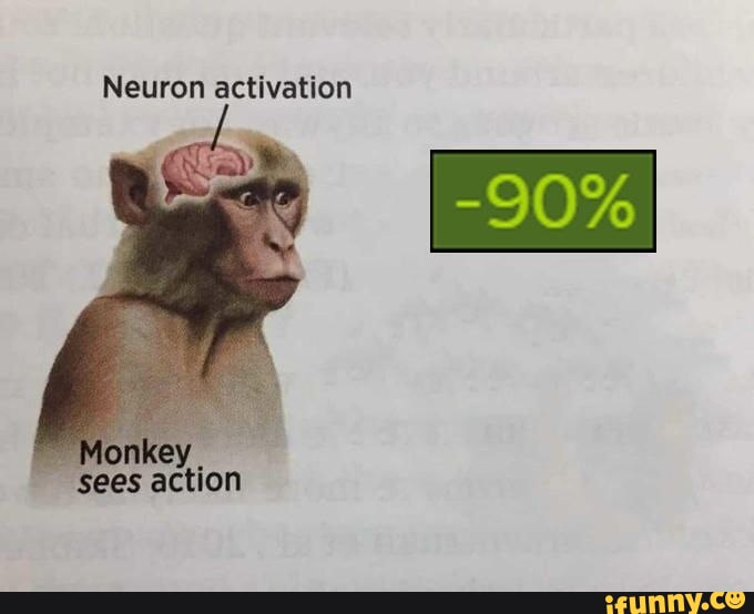 Neuron activation Monkey sees action - iFunny