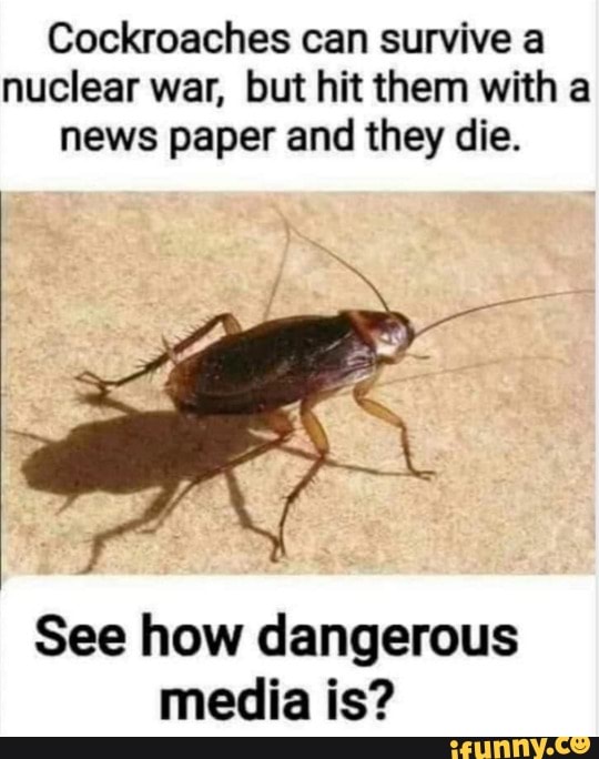 Cockroaches can survive a nuclear war, but hit them with a news paper ...