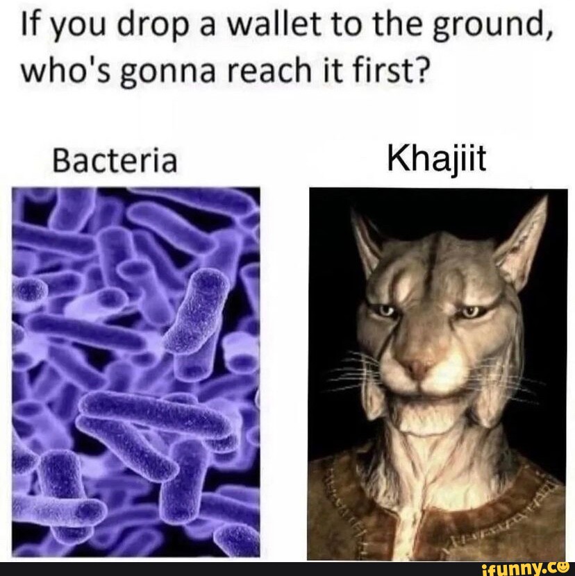 Bacteria memes. Best Collection of funny Bacteria pictures on iFunny