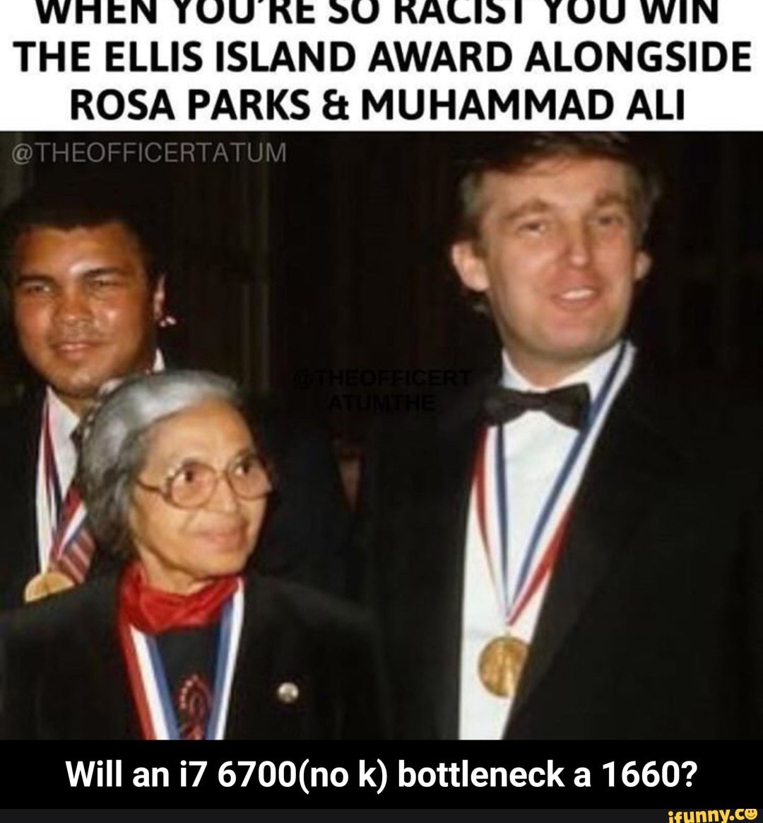 THE ELLIS ISLAND AWARD ALONGSIDE ROSA PARKS & MUHAMMAD ALI Will an i7 ...
