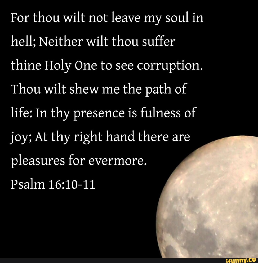 Shew memes. Best Collection of funny Shew pictures on iFunny