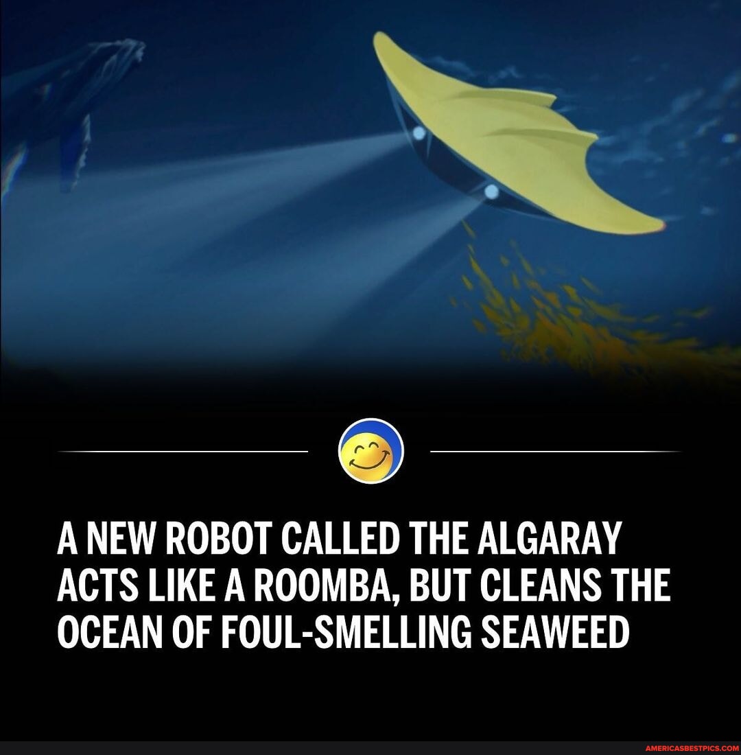 A robotics company called Seaweed Generation has designed the the ...