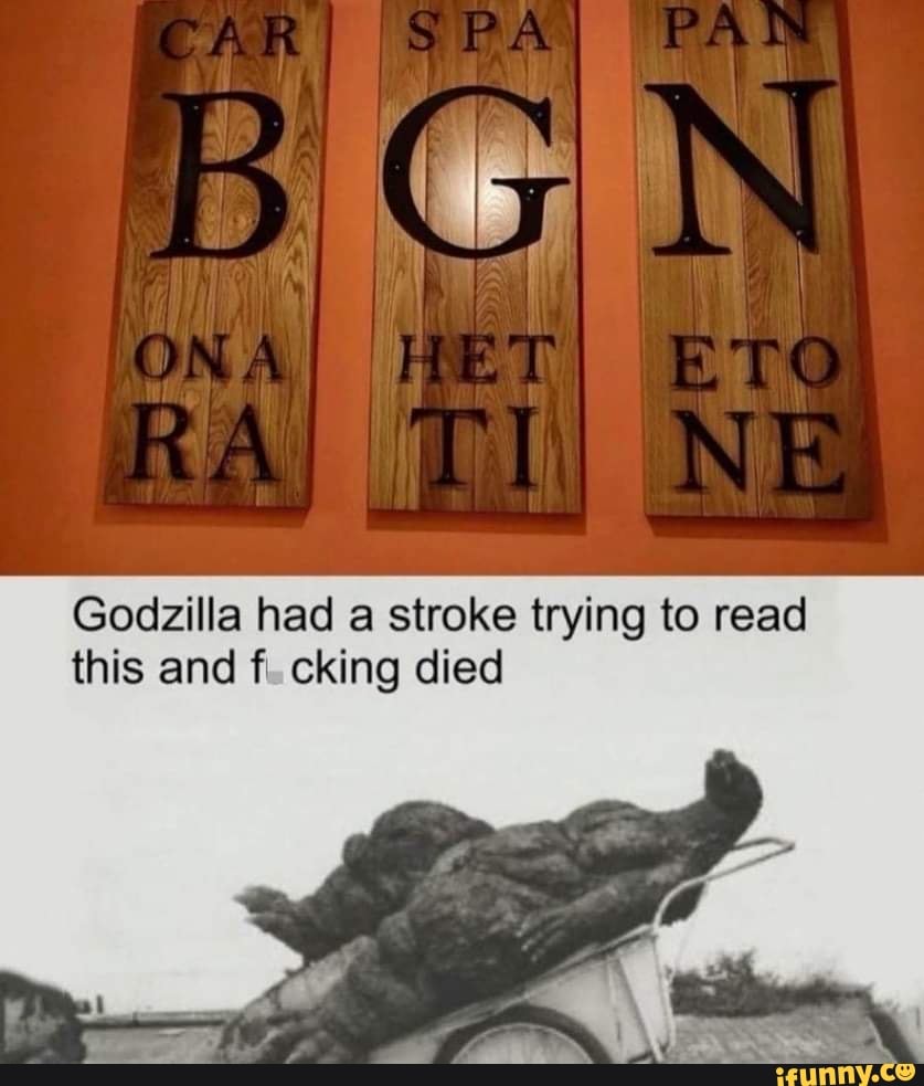 SPA Godzilla had a stroke trying to read this and ficking died - iFunny