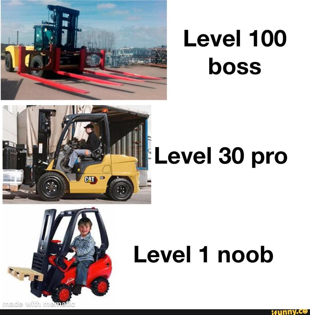 Level 100 boss pro Level 1 noob - iFunny