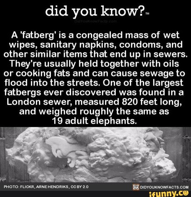 Did you know?.. A 'fatberg' is a congealed mass of wet wipes, sanitary ...